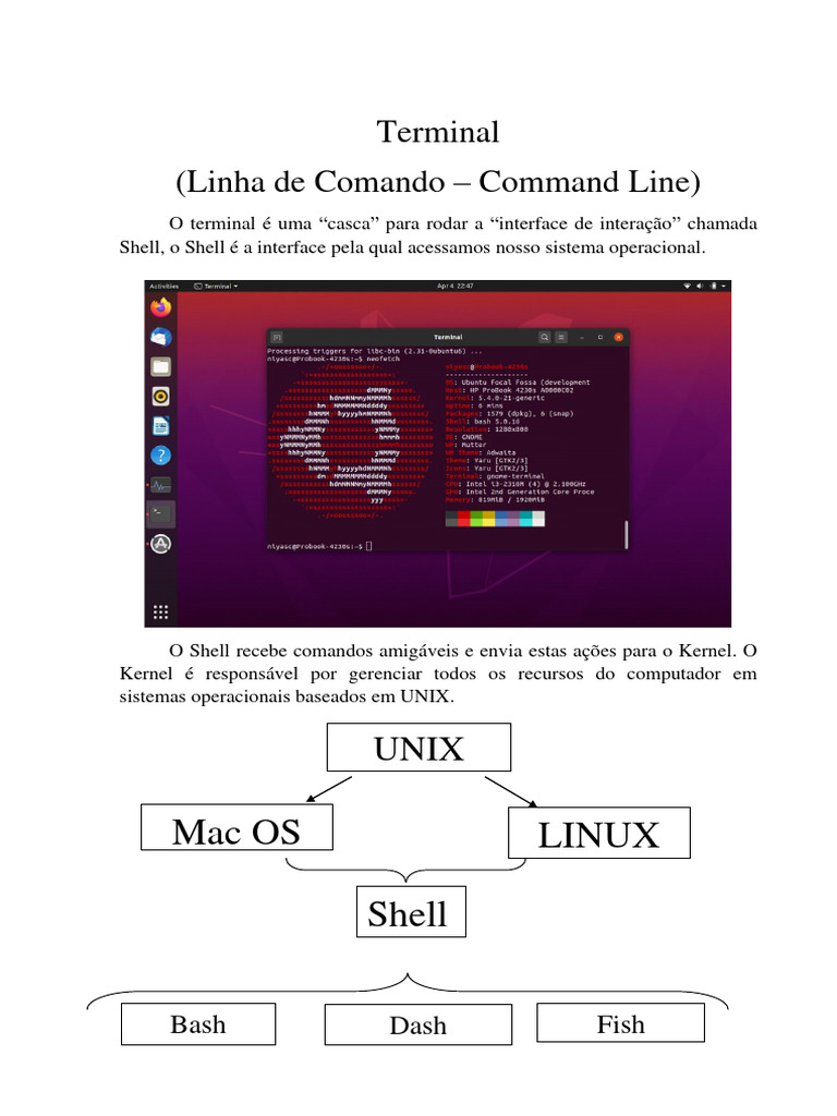 Introdução ao terminal | PDF | Shell (informática) | Linux