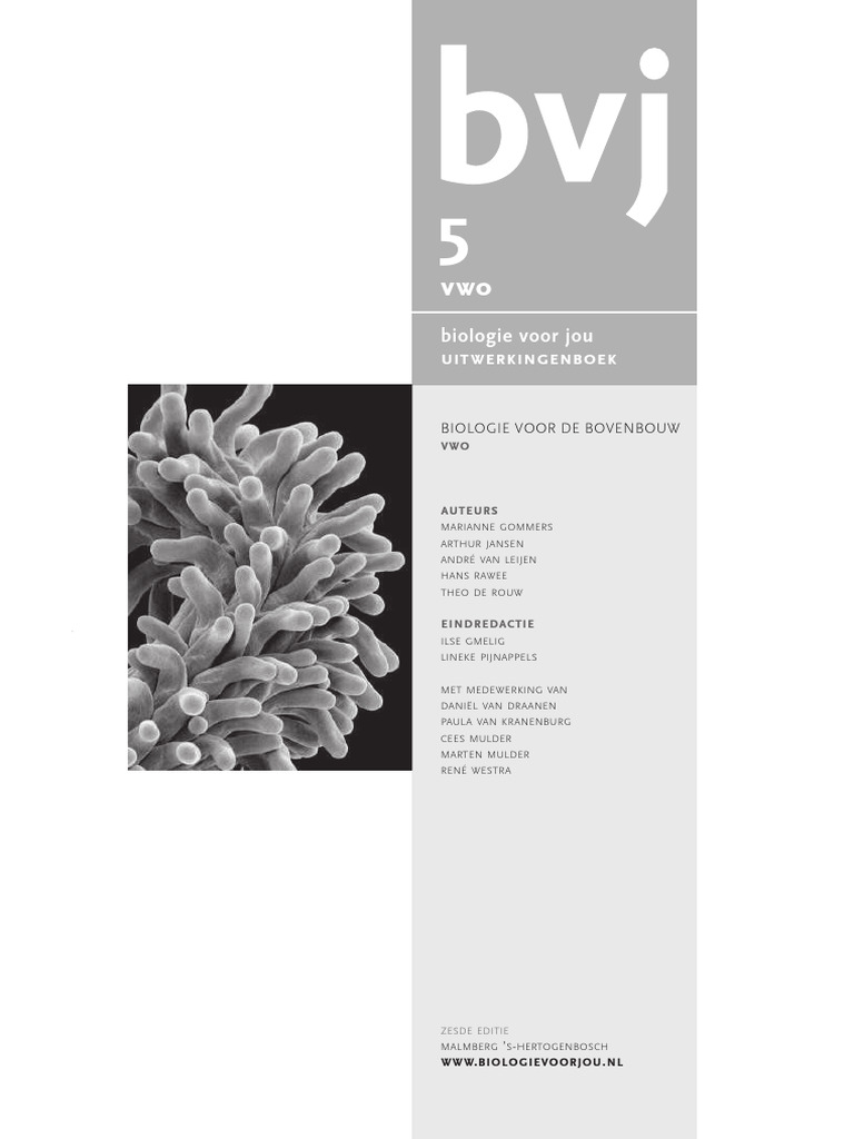 BVJ 5v UWB t3 | PDF
