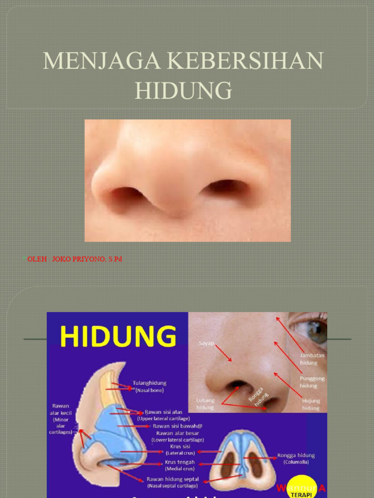 Kebersihan Hidung untuk Kesehatan | PDF | Kesehatan Holistik | Sains ...
