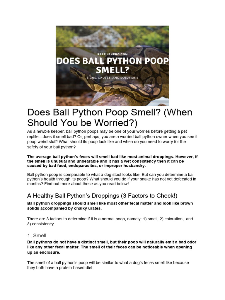 Carlos-ZR338 - Does Ball Python Poop Smell | PDF