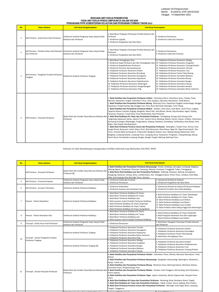 Lampiran XII - Rencana Unit Kerja Penempatan Pada Pengelompokan Formasi Di SSCASN | PDF