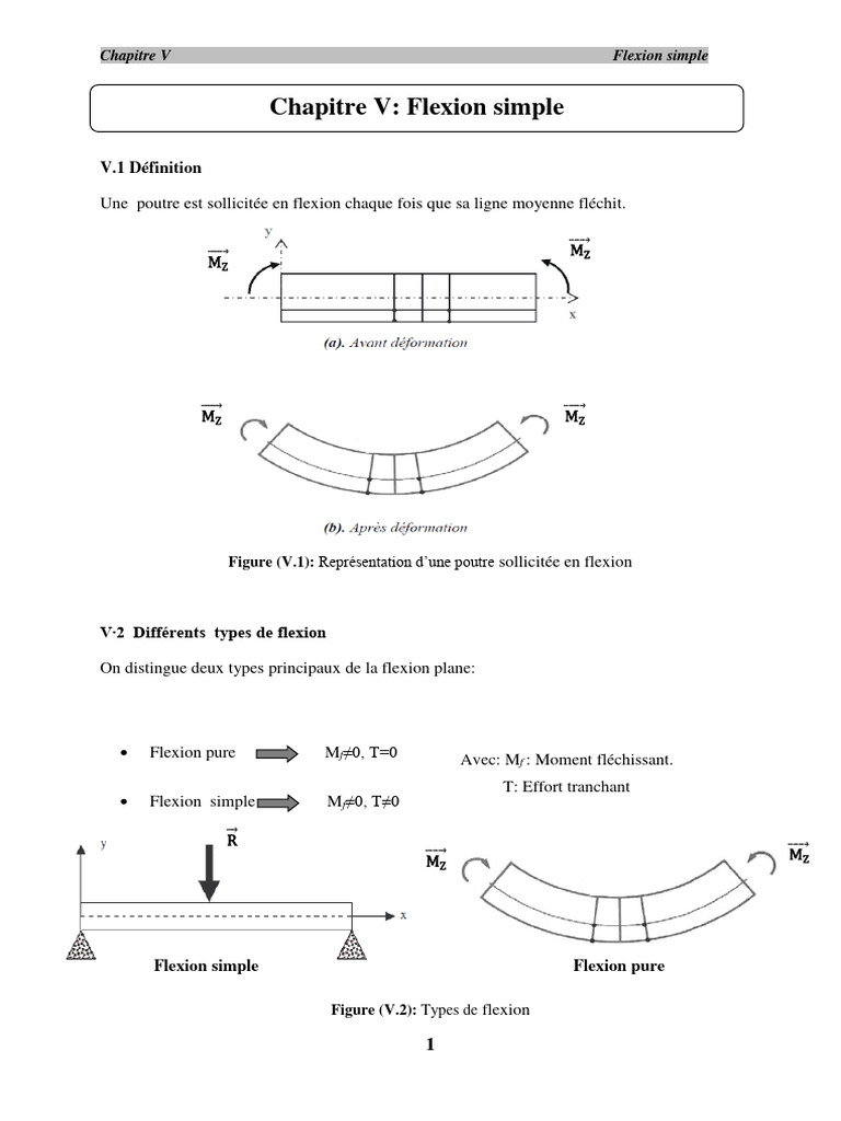 FLexion Simple | PDF