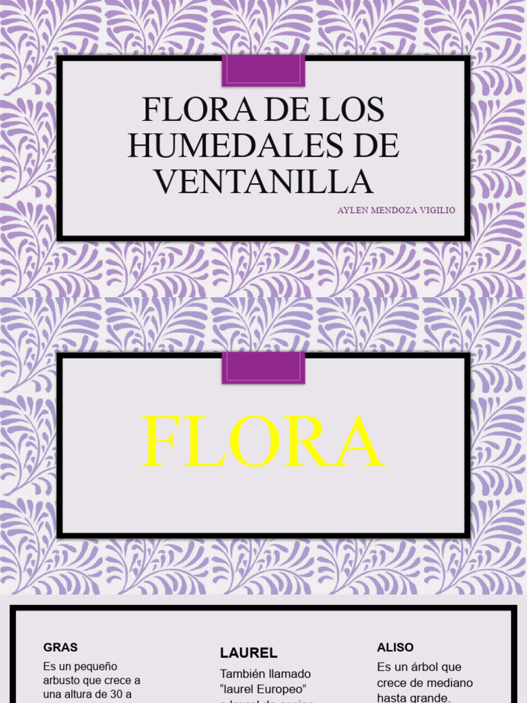 Flora y Fauna de Los Humedales de Ventanilla | PDF