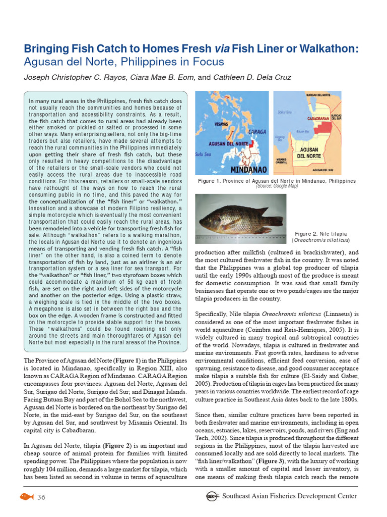 Bringing Fish Catch | PDF