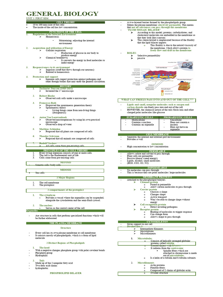 Gen Bio | PDF | Cell Membrane | Cell (Biology)
