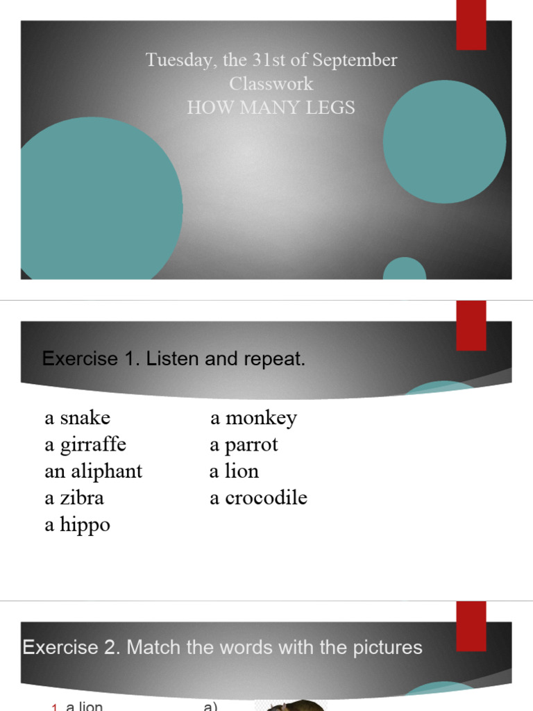 Animal Legs Worksheet Activities | PDF