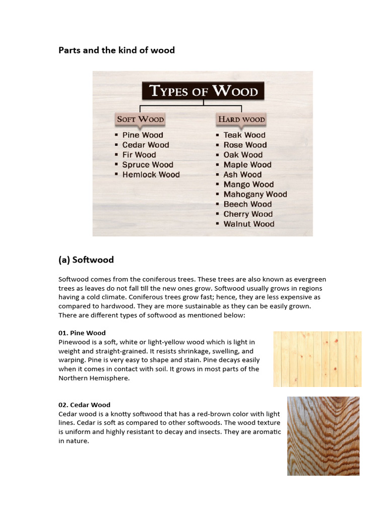 Types and Characteristics of Wood | PDF | Wood | Hardwood