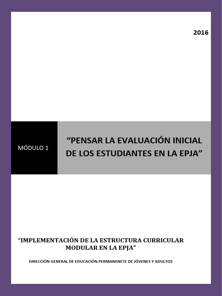 Evaluacion en EPJA (Educación Permanente de Jovenes y Adultos) | PDF