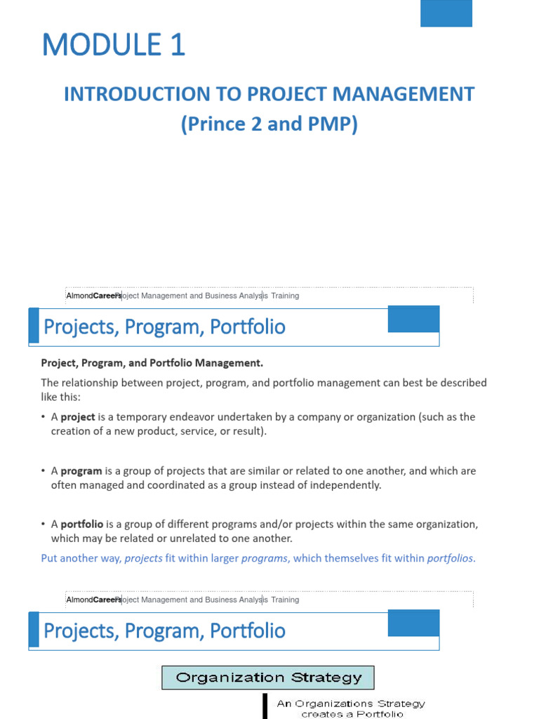Module 1 - New (Introduction To Project Management With Focus On Prince 2 and PMP) | PDF ...