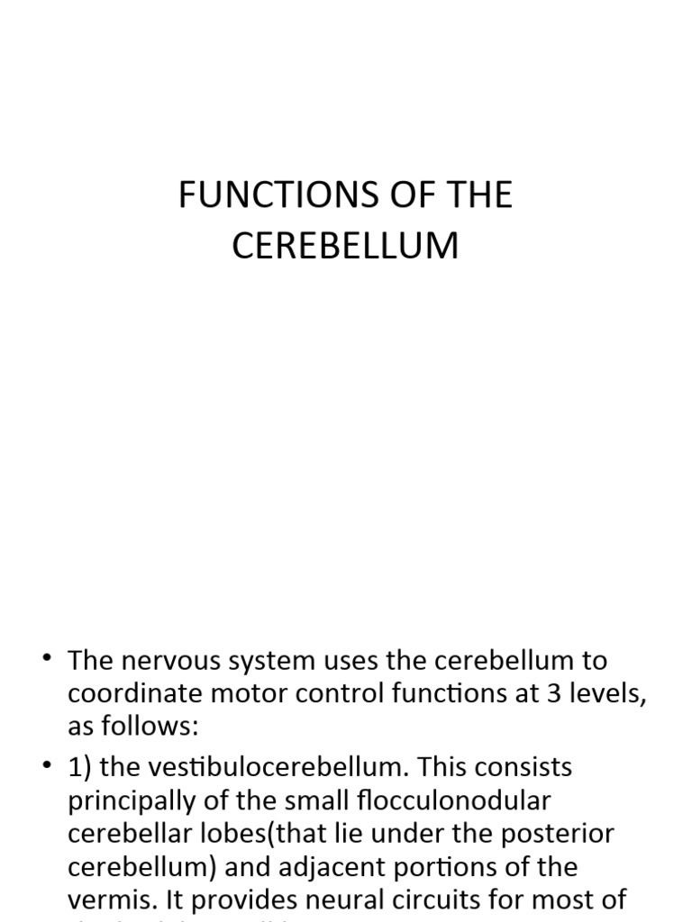 Functions of The Cerebellum | Download Free PDF | Cerebellum ...