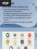 Preparing A Wet Mount - Experimental Skill and Investigation | PDF ...