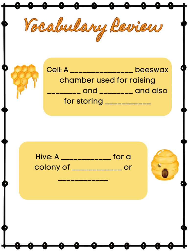 Bees Vocabulary Review | PDF