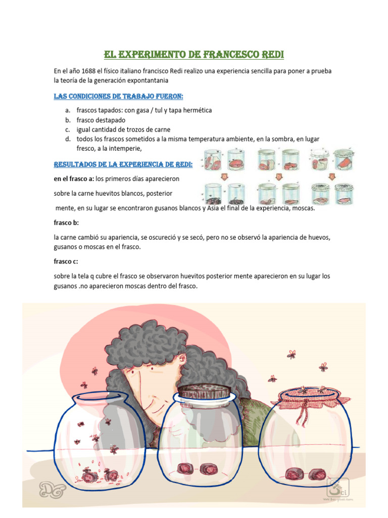 El Experimento de Francesco Redi | PDF