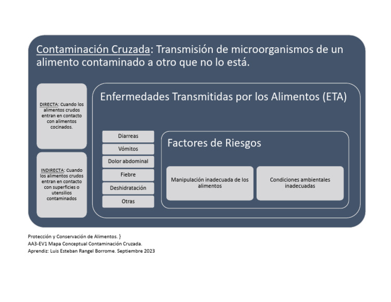 AA3-EV1 Mapa Conceptual Contaminacion Cruzada | PDF