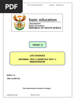 2024 LIM LFSC Practical Task 2 Marking guideline Corrected | PDF ...