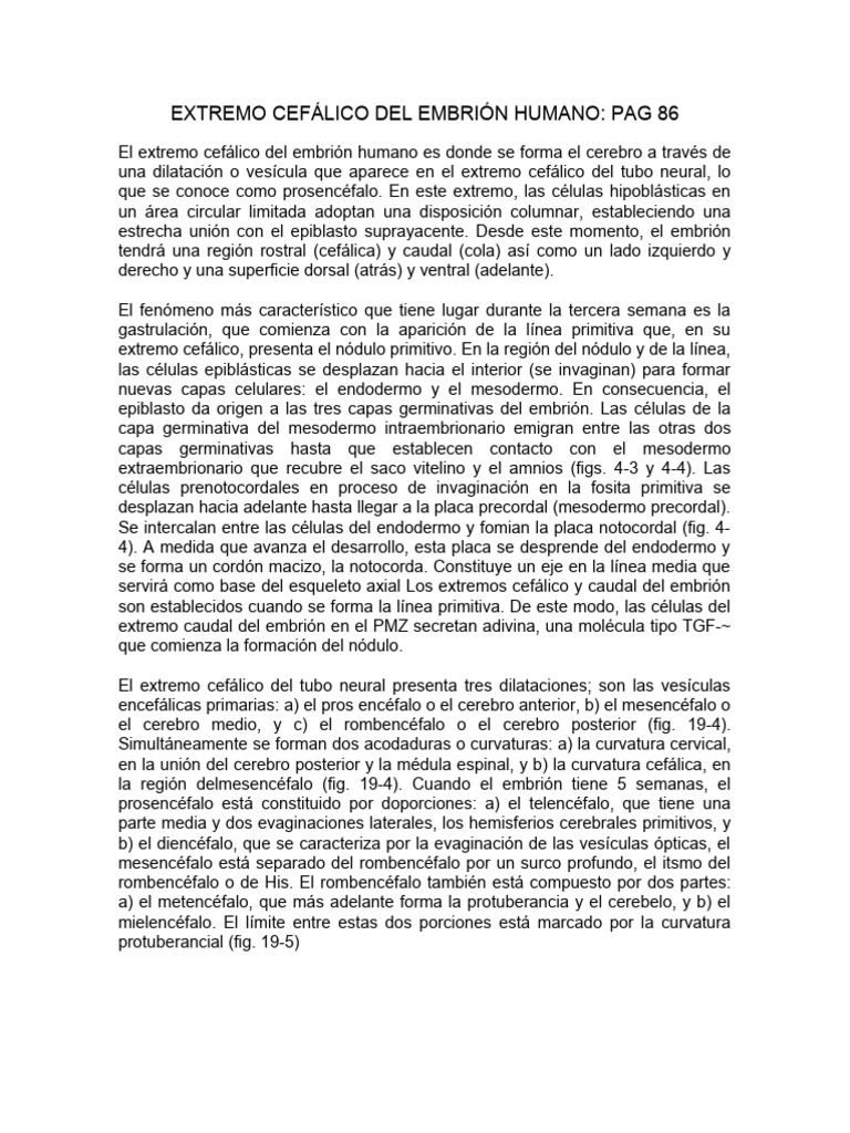 Desarrollo del Extremo Cefálico Embrionario | PDF | Sistema nervioso ...