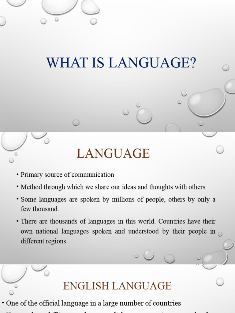 What Is Language | PDF