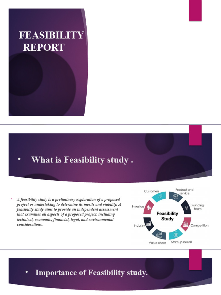 Feasibility Report | PDF