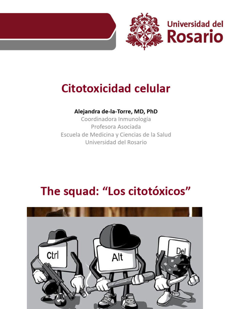 Citotoxicidad Celular - ADLT - I - 2021 | PDF | Célula T citotóxica ...