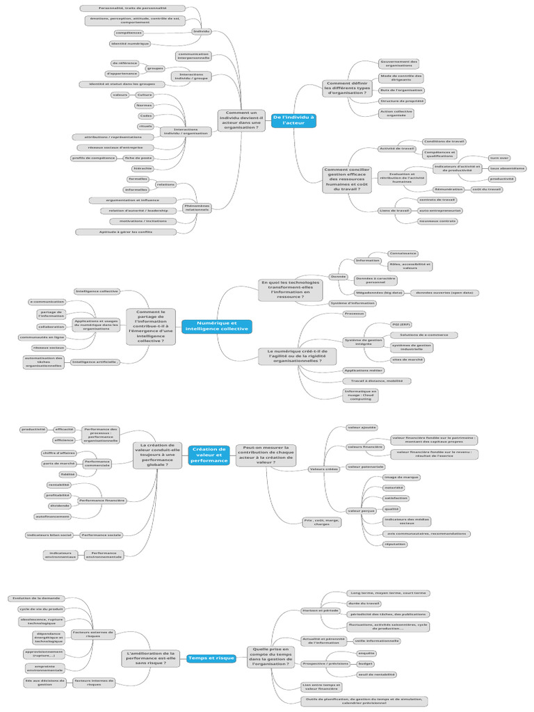 Carte Mentale SDGN | PDF