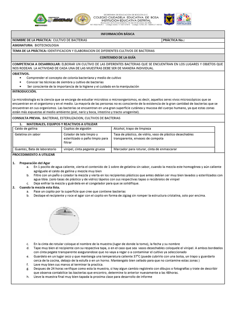 Labortorio Cultivo de Bacterias en Casa | PDF