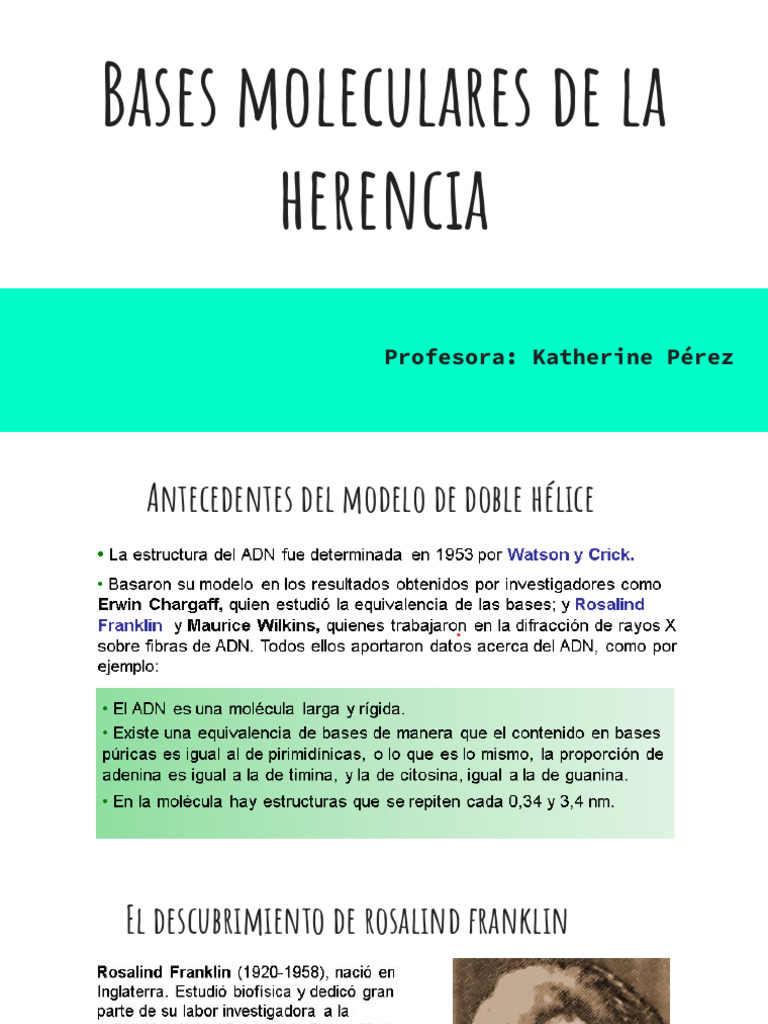 Bases Moleculares de La Herencia | PDF | Adn | Rna