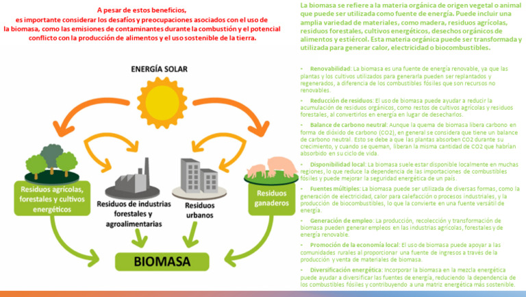 Infografía Biomasa | PDF | Biomasa | Energía renovable