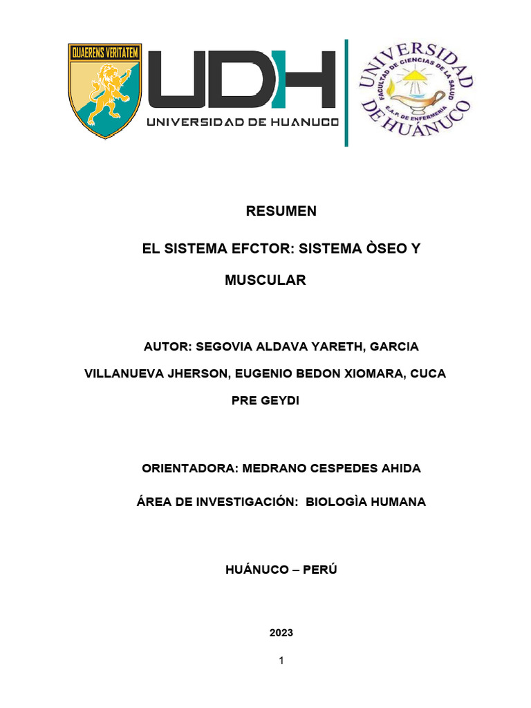 RESUMEN Del Sistema Efector | PDF | Hueso | Músculo esquelético