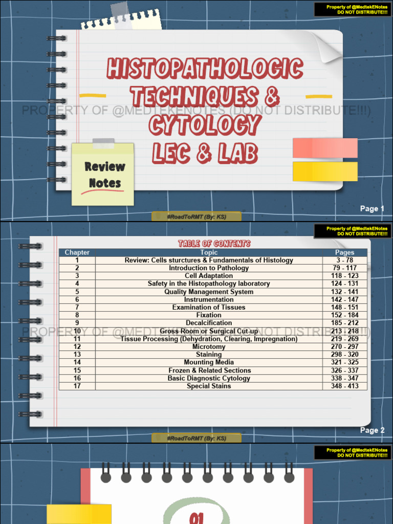 (E-Notes) Histopath Lec and Lab | Download Free PDF | Epithelium ...