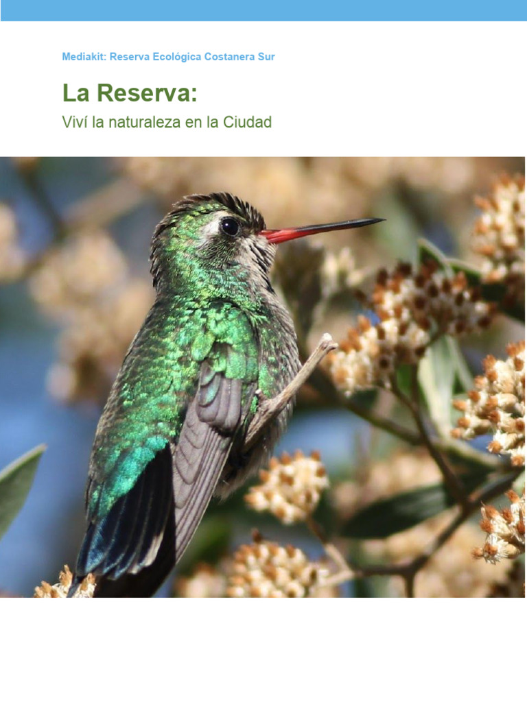 Material para Las Docentes | PDF | Naturaleza | Ciencias de la Tierra