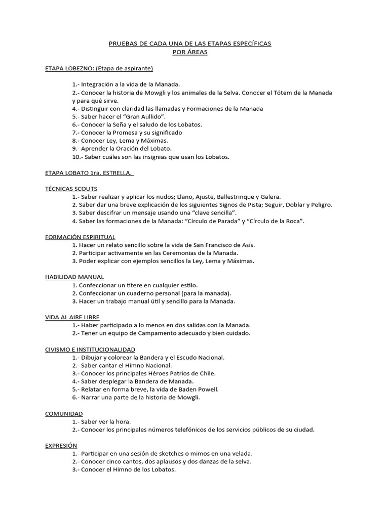 ETAPAS ESPECÍFICAS Boy Scout | PDF