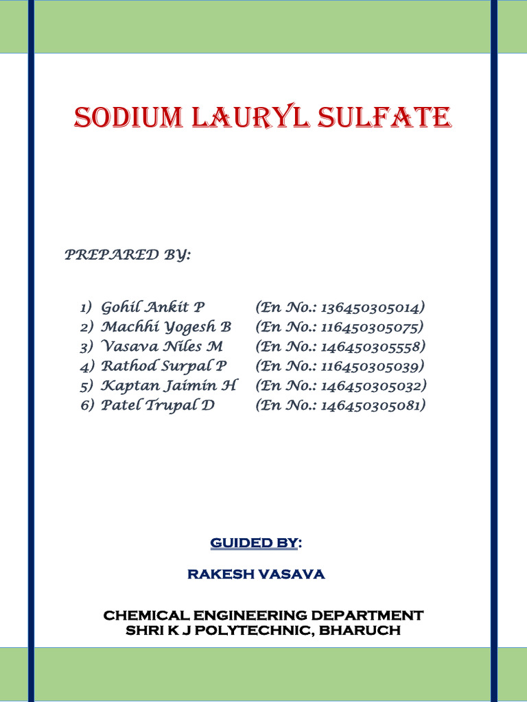 Project Report Sample | PDF