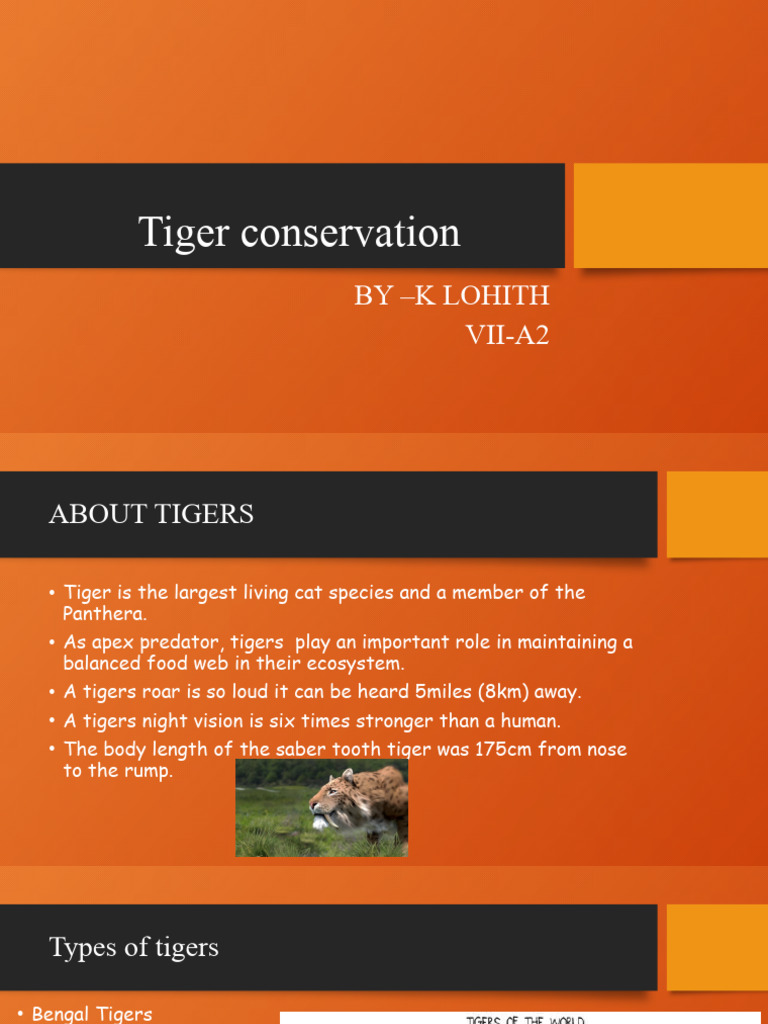 Essential Facts About Tiger Conservation | PDF