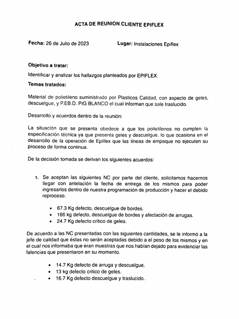 Acta Reunión Epiflex | PDF