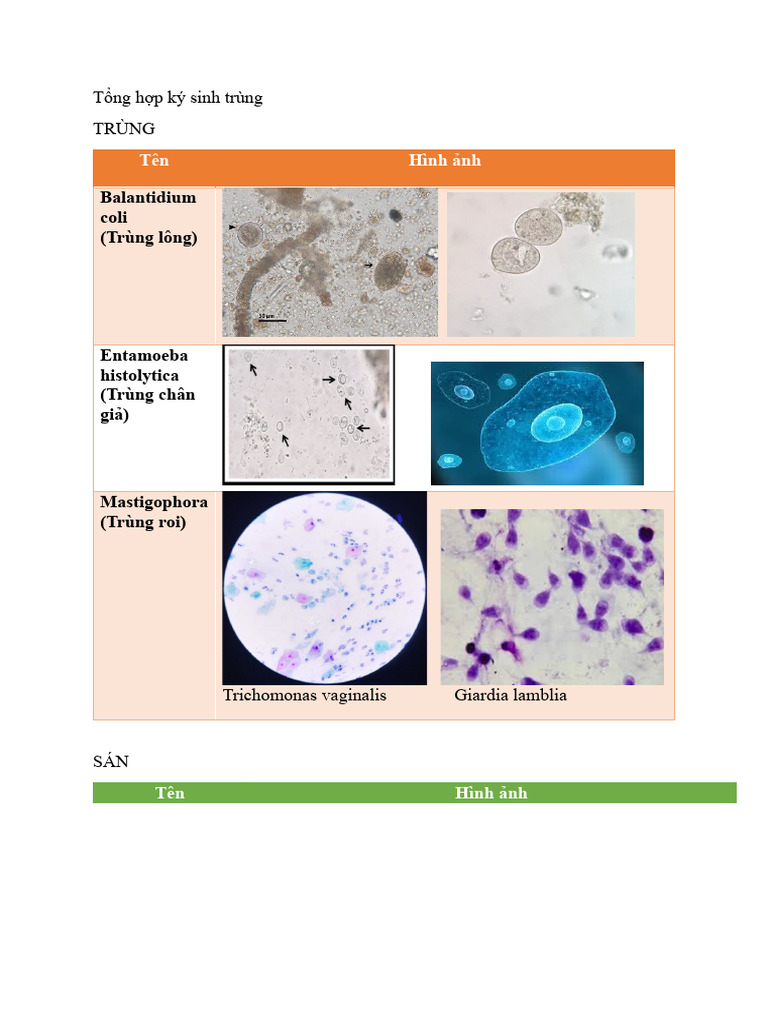 T NG H P Ký Sinh Trùng | PDF