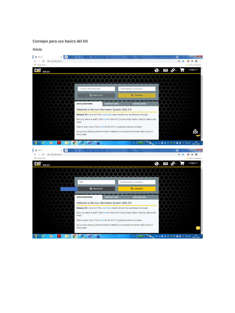 Sis2 0basicov3 0 | PDF