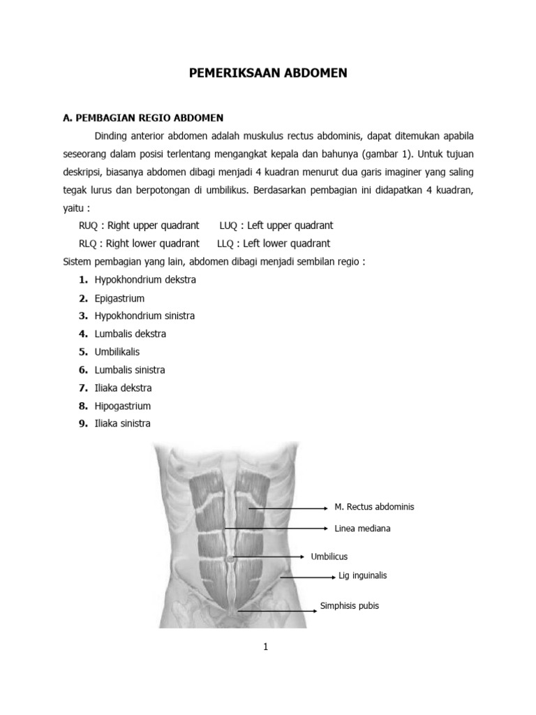 Pemeriksaan Abdomen | PDF