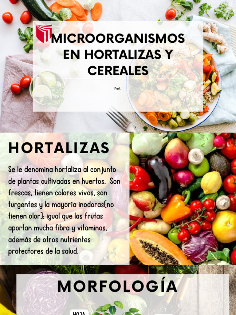 Hortalizas | PDF