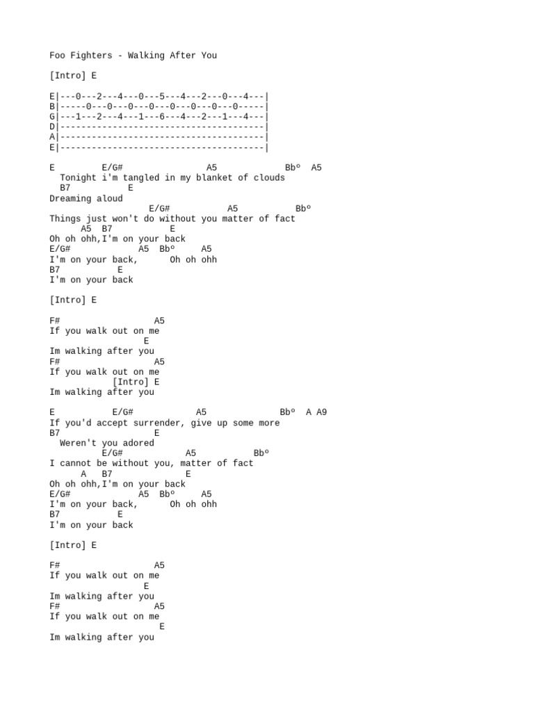Foo Fighters - Walking After You | PDF