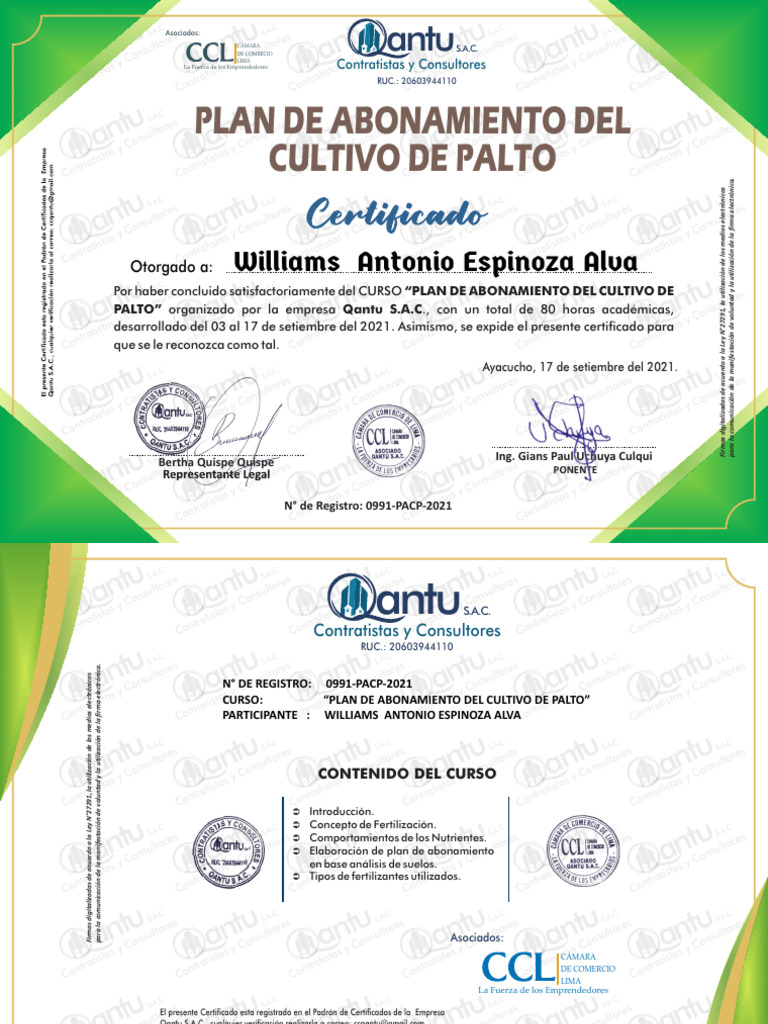 991-Williams Antonio Espinoza Alva | PDF