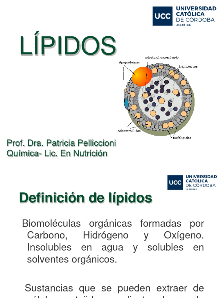 Lípidos | PDF | Triglicéridos | Lípido
