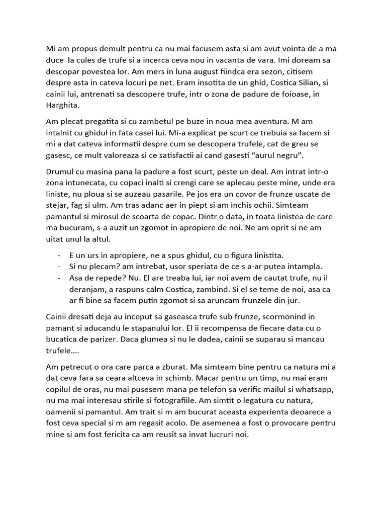 Tema Romana Compunere | PDF