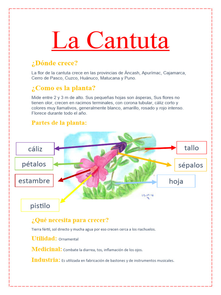 La Cantuta | PDF