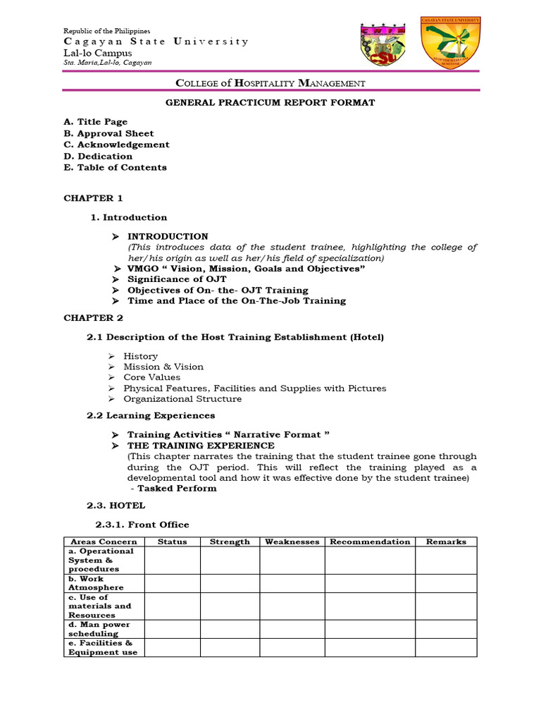 GENERAL-PRACTICUM-REPORT-FORMAT-2023 | PDF