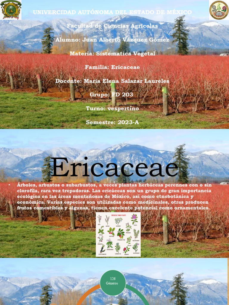 Importancia de la familia Ericaceae | PDF | Ciencia y matemáticas ...
