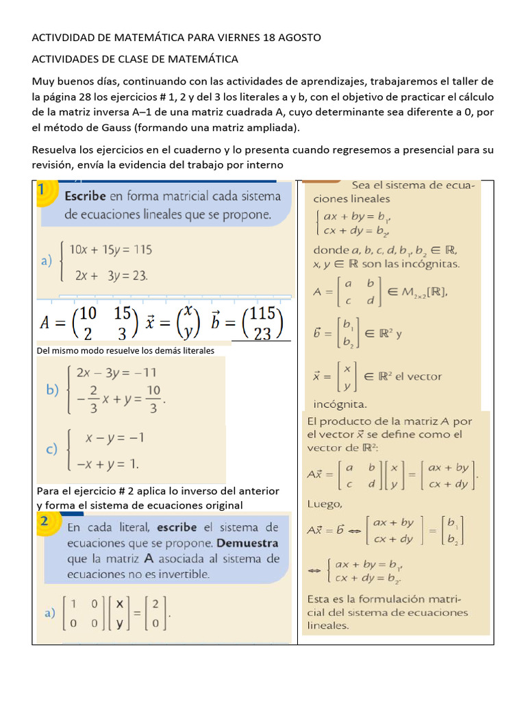 ACTIVDIDAD DE MATEMÁTICA 3A Matriz Inversa | PDF