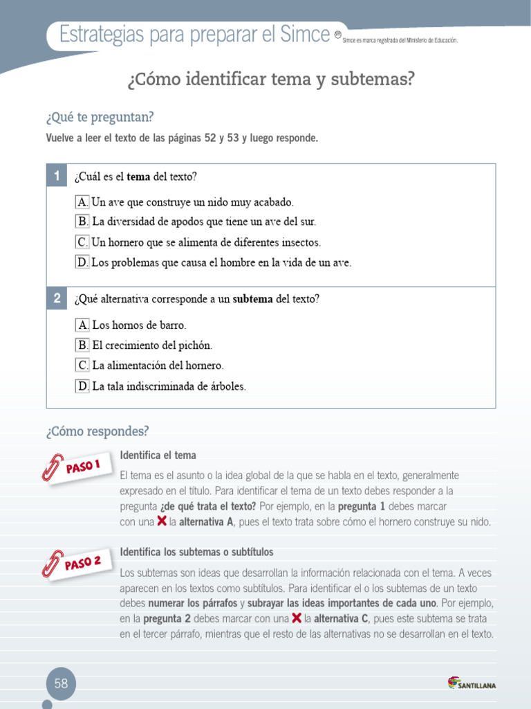 Como identificar tema y subtemas | PDF