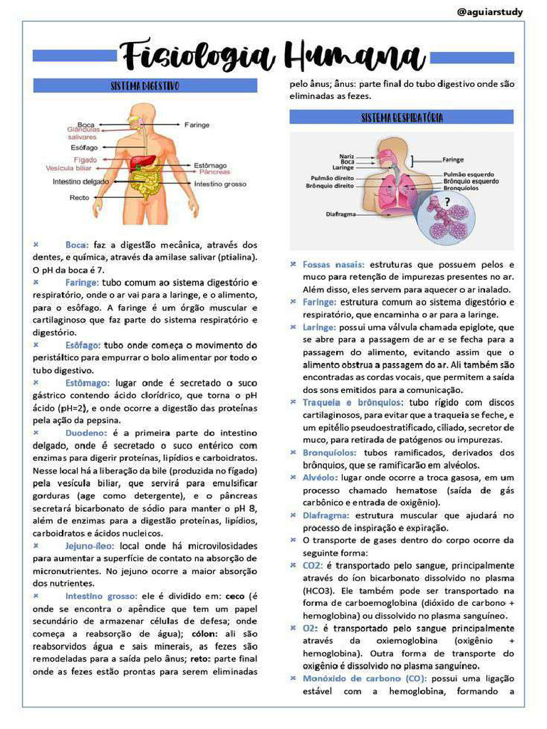 Fisiologia Humana | PDF