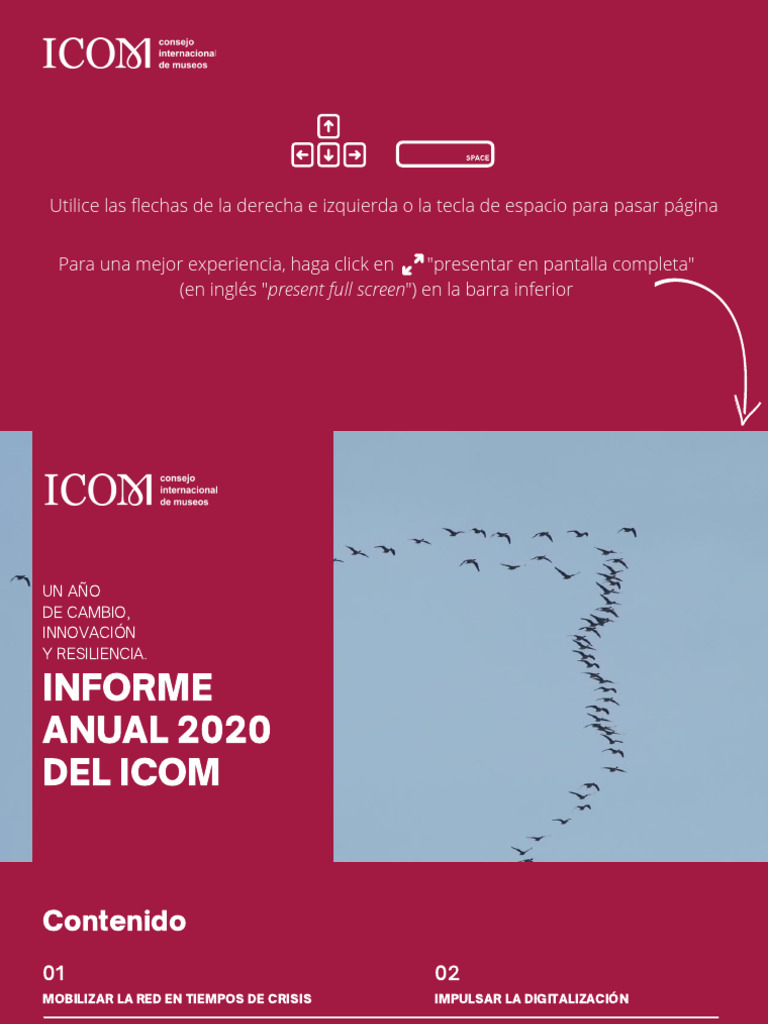 ICOM Annual Report ES | PDF