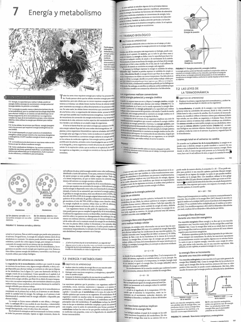 Energía y Metabolismo - Biología Solomon - Berg - Martin | PDF